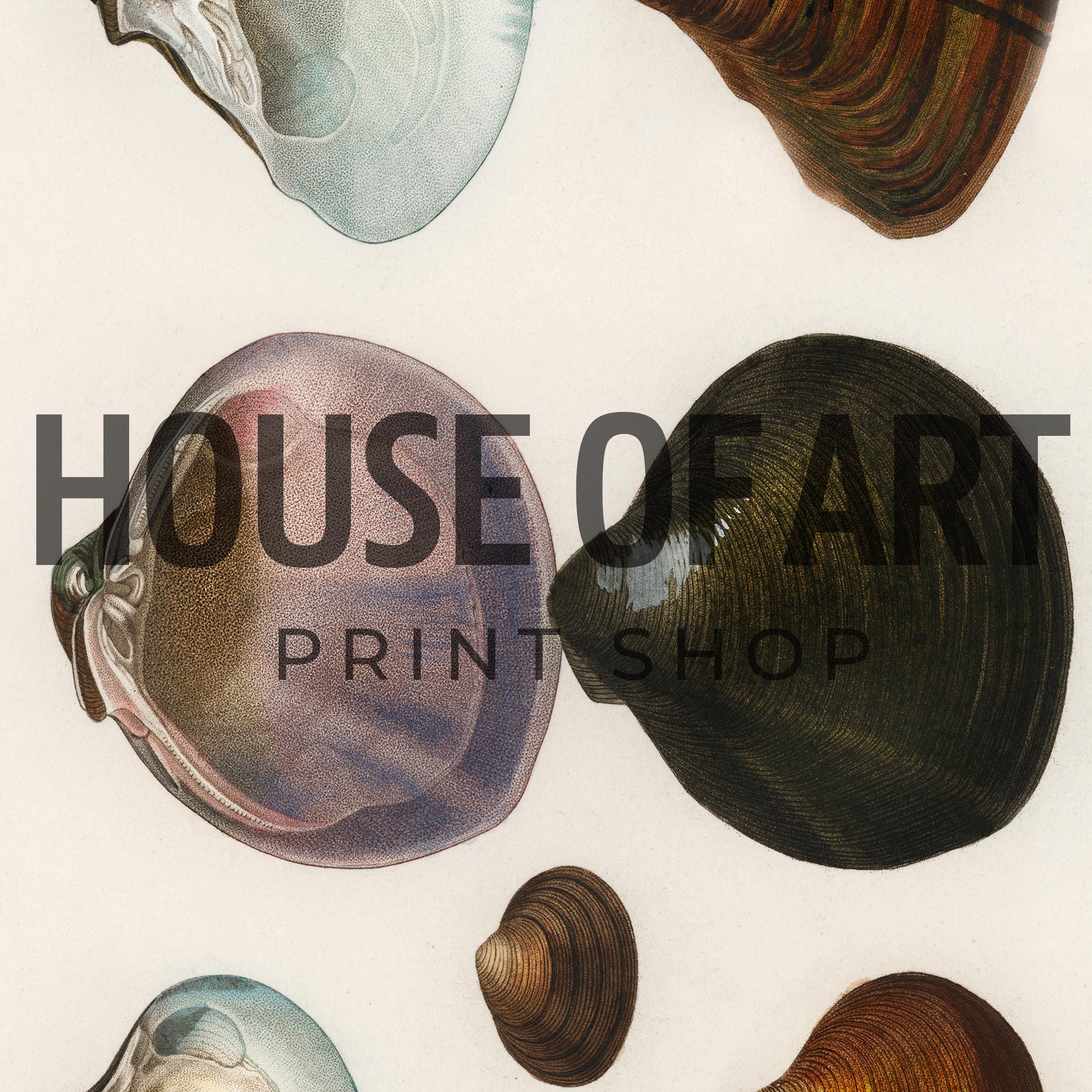 Oyster Print, Coastal Cowgirl Giclée Print, Nancy Meyers Blue Striped ...