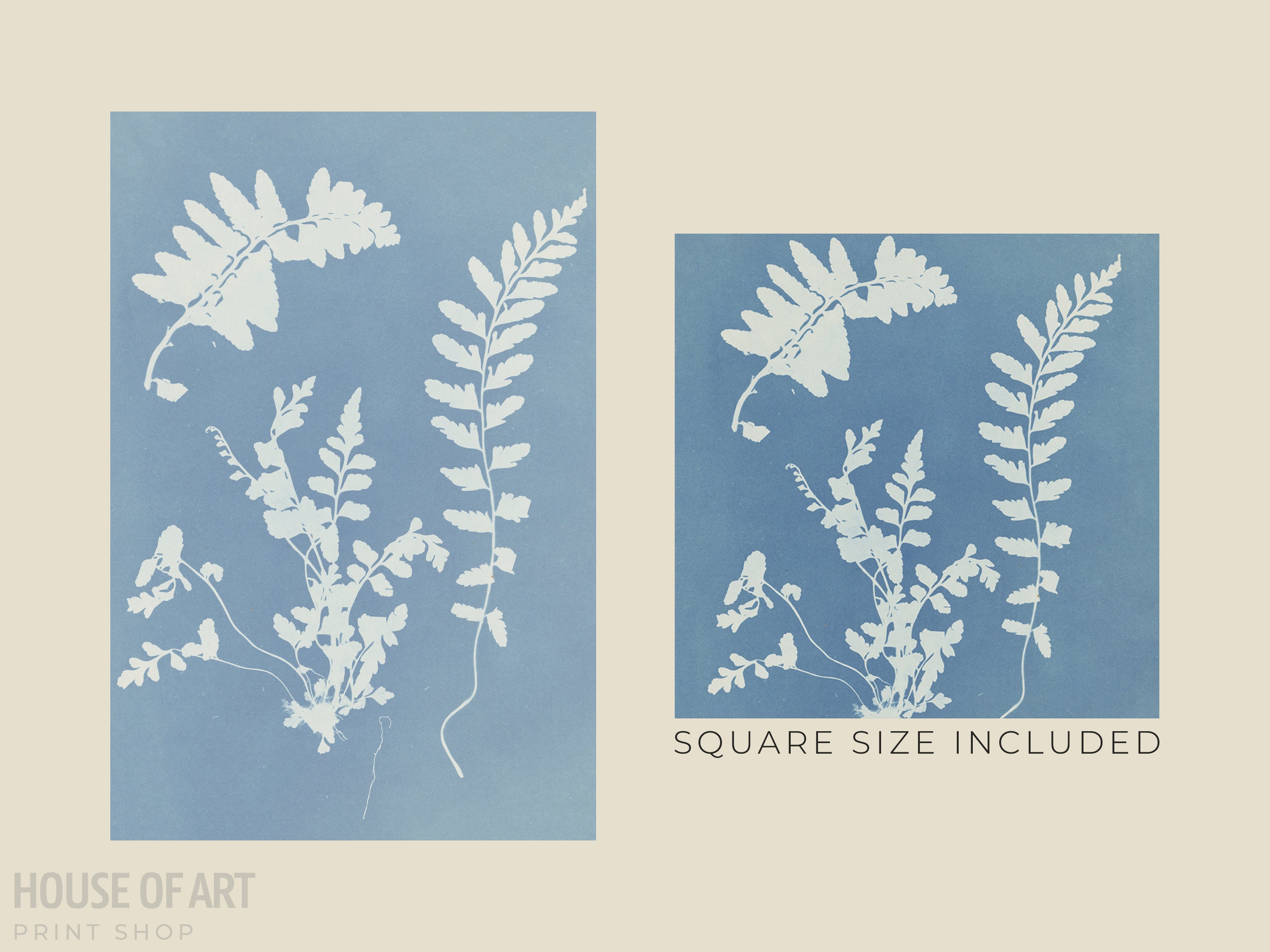 Vintage Botanical PRINTABLE Artwork, Minimal Fern Instant Download ...