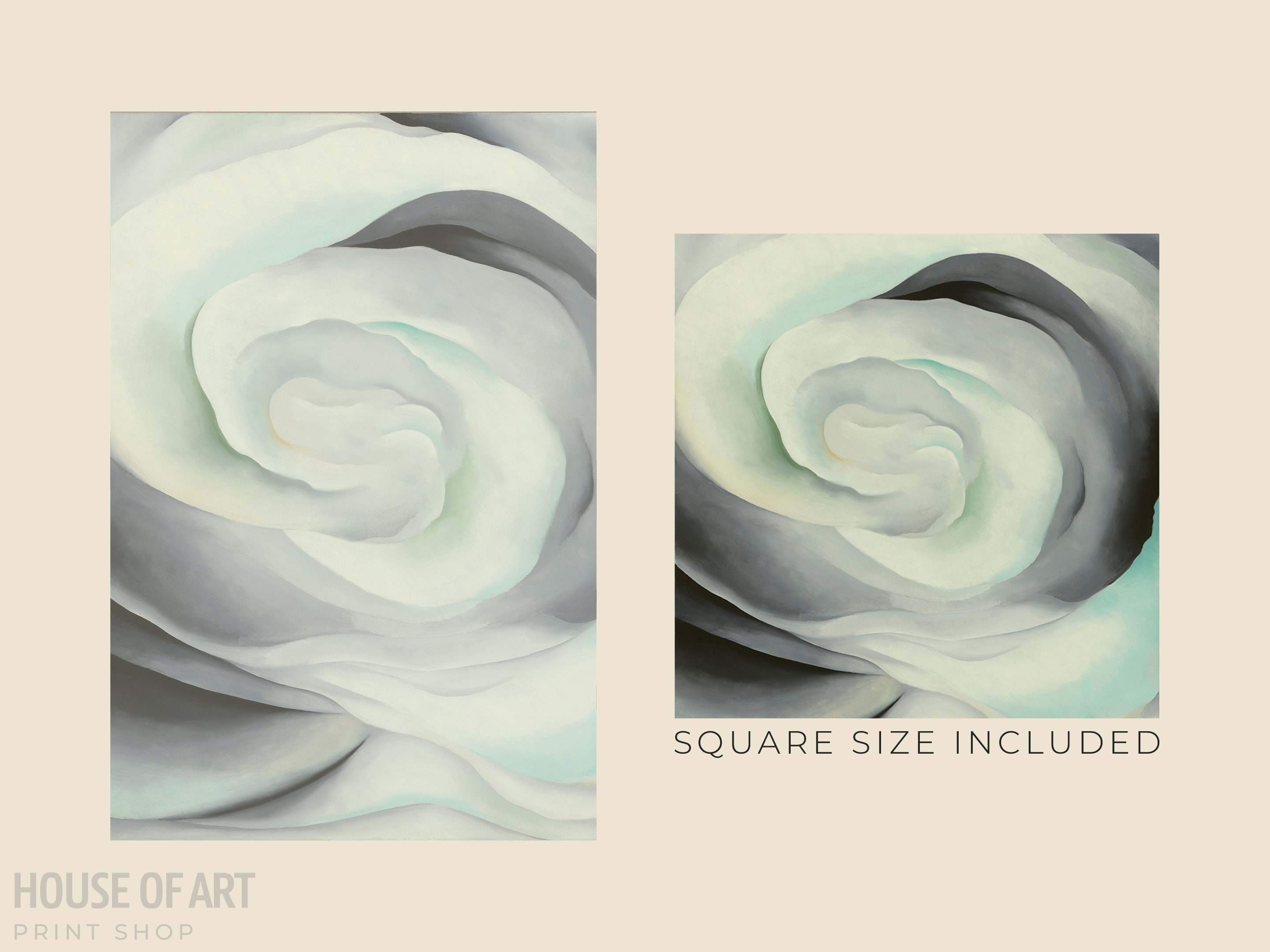 Contemporary White Rose PRINTABLE Artwork, Abstraction Flower Close up ...