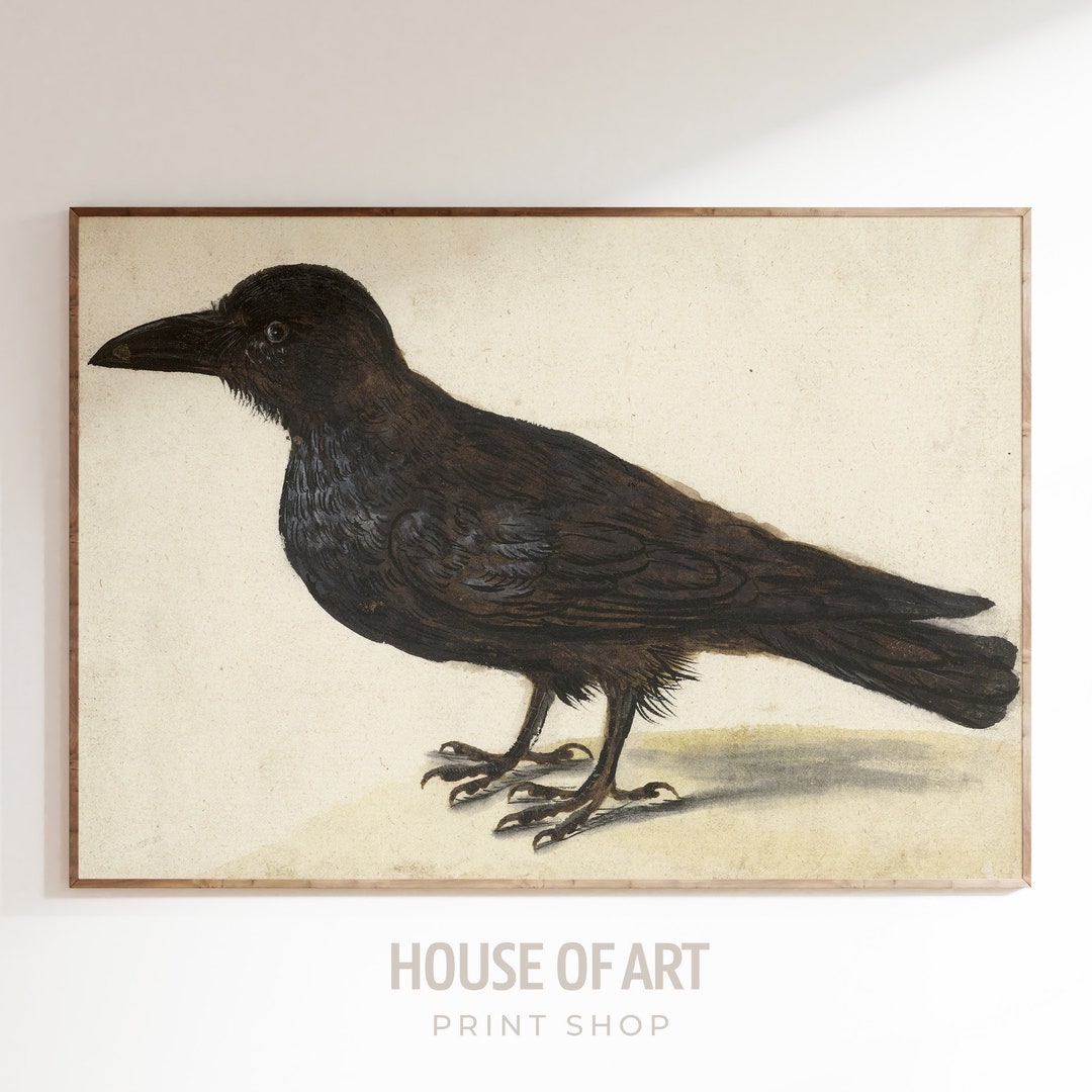 Black Crow Art Print Raven Wall Art Picaraza Drawing Corvus - Etsy