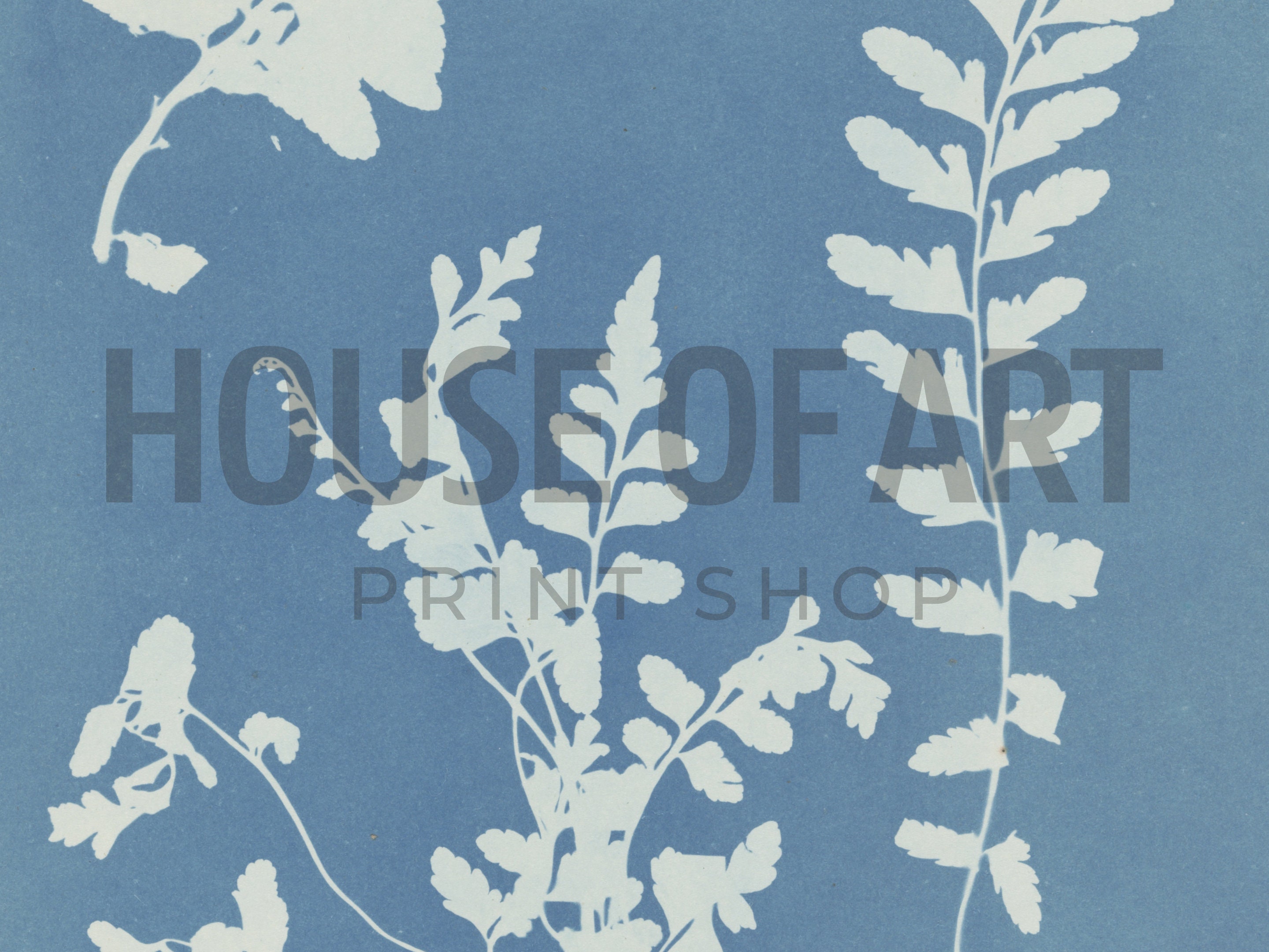 Vintage Botanical PRINTABLE Artwork, Minimal Fern Instant Download ...