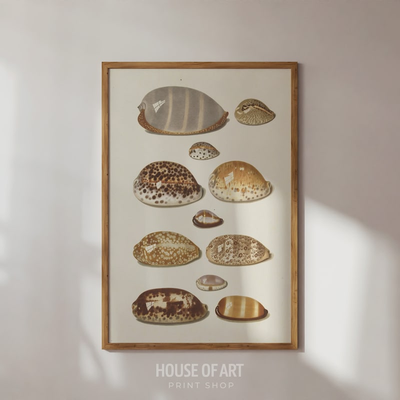 Shell Artwork - Etsy