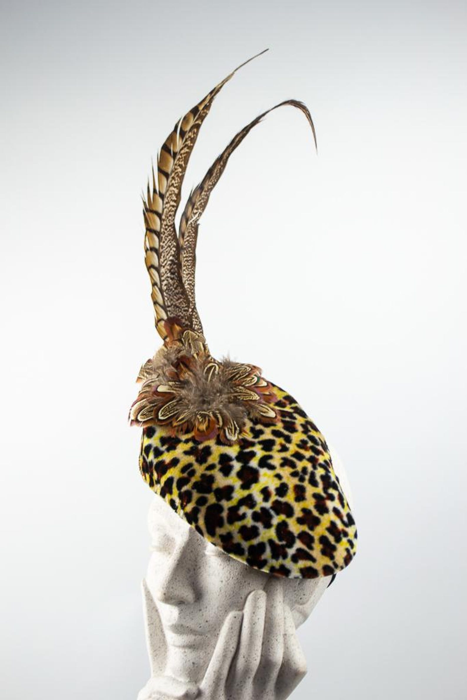 Leopard Print and Pheasant Feather Fascinator/headpiece by British ...