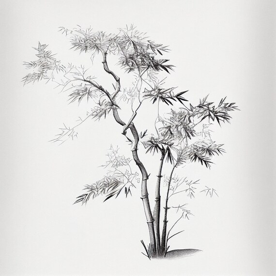 Bamboo Tree Drawing