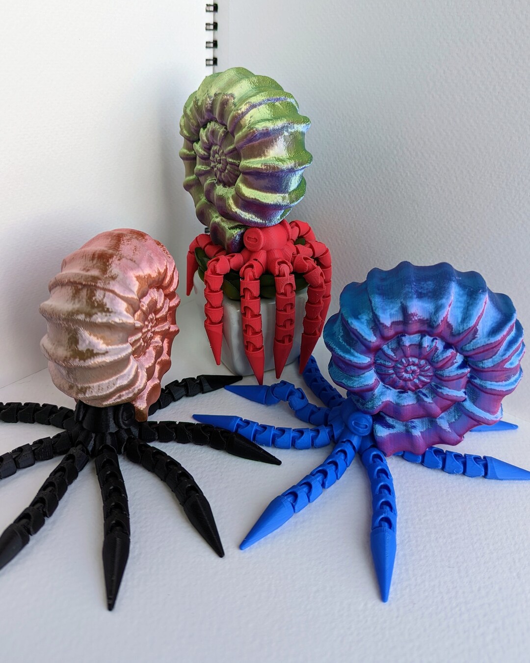 Ammonite 3D Printed Articulated Personalised Fossil Fidget Toy - Etsy