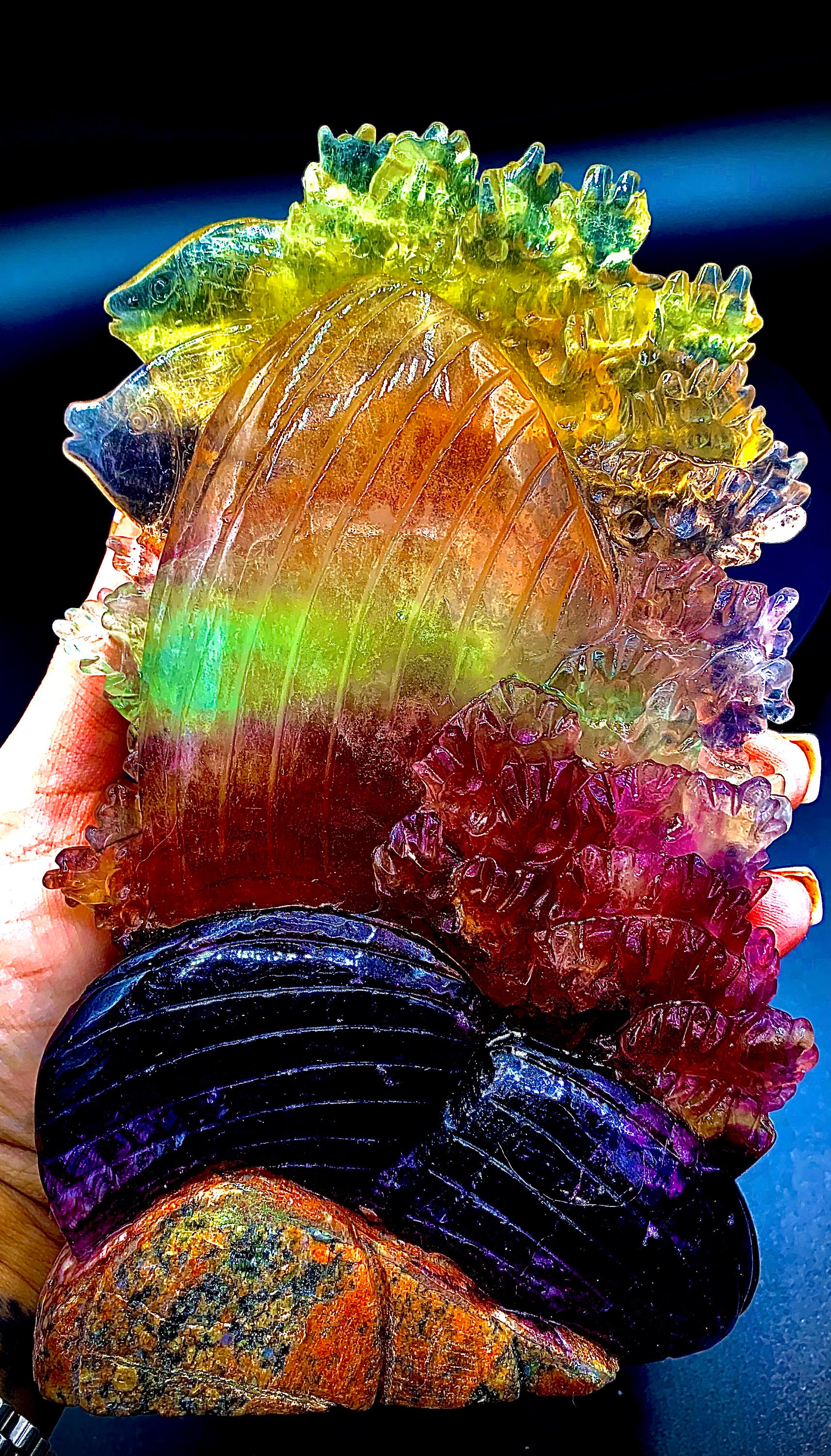 Rainbow Fluorite Hand Carving Marine Life 3.25 Lbs - Etsy
