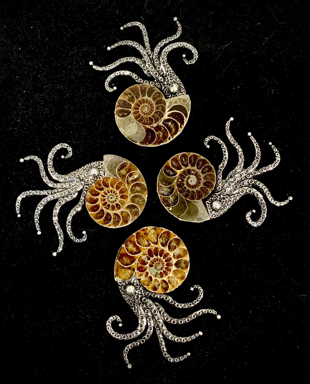 Ammonite Pendant/brooch - Octopus - Etsy