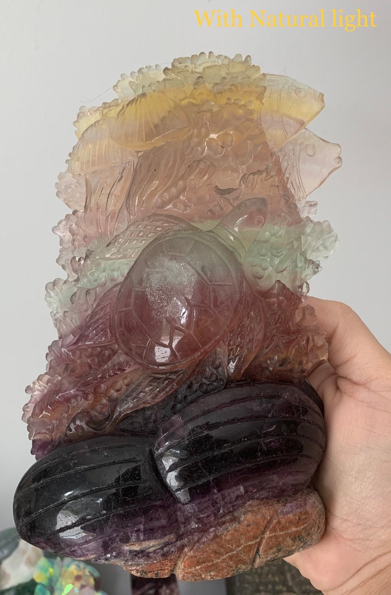 Rainbow Fluorite Hand Carving Marine Life 3.25 Lbs - Etsy