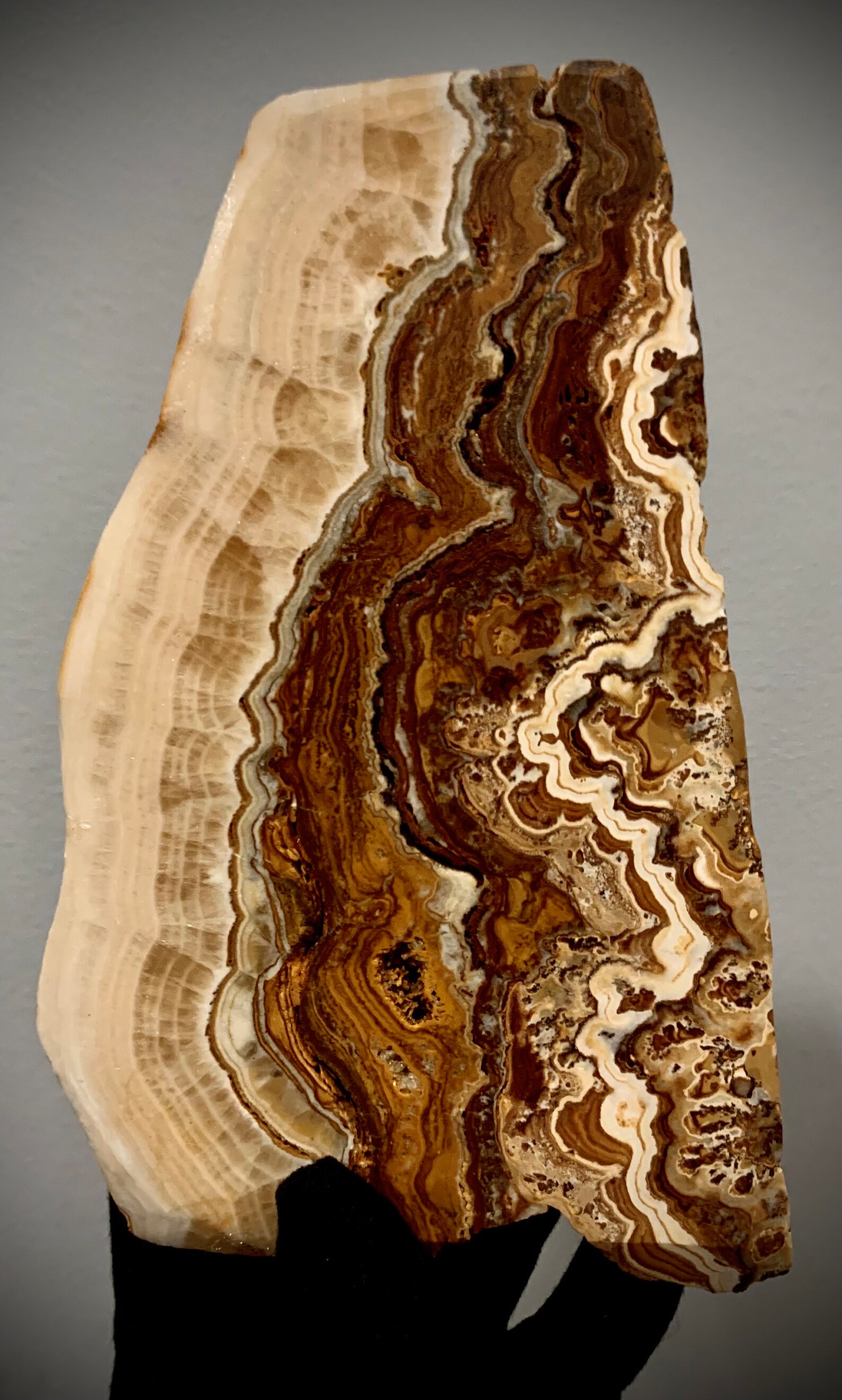 Dendritic Banded Calcite Slab With Raw Edge - Pick Your Favorite! - Etsy