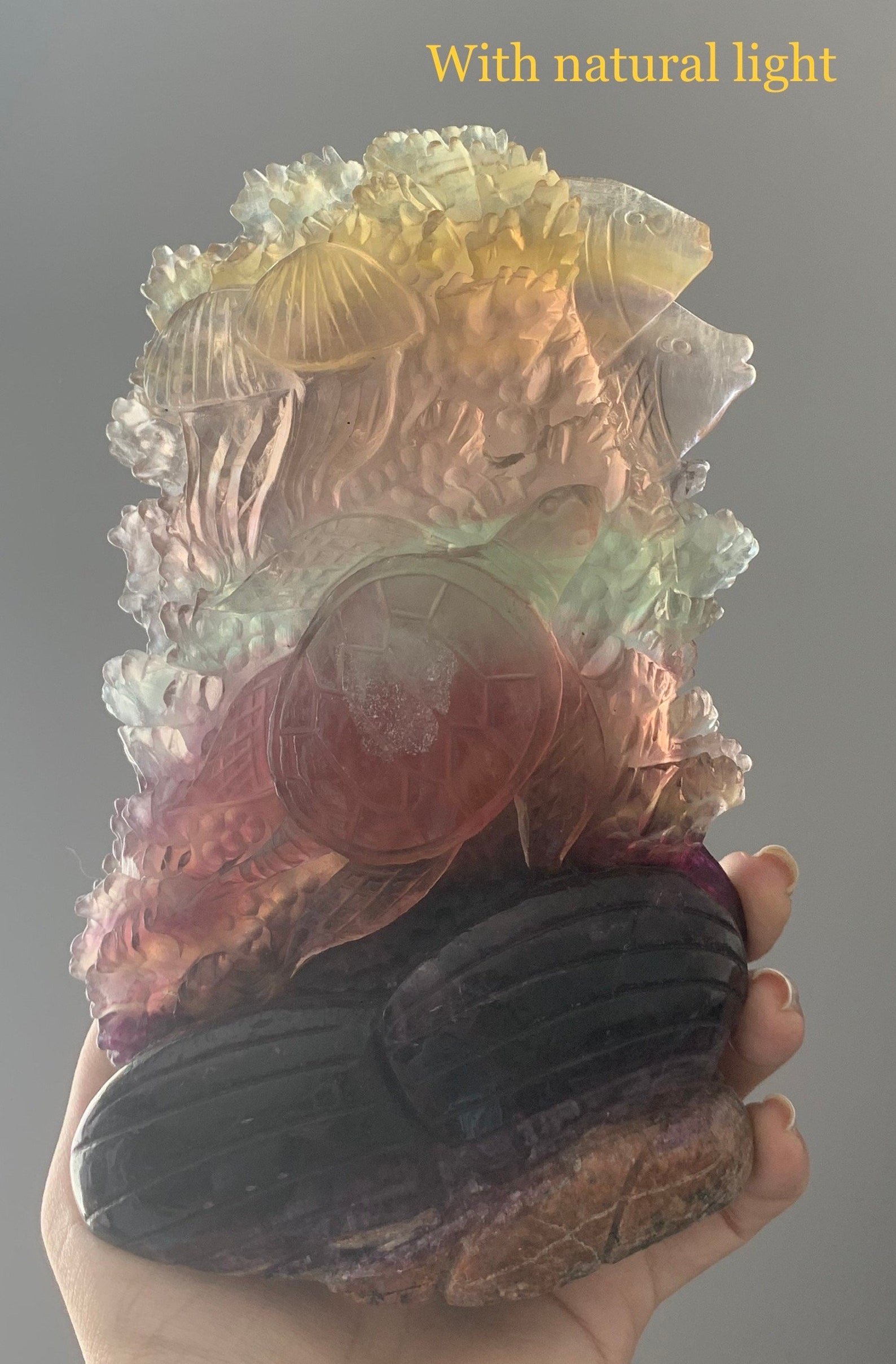 Rainbow Fluorite Hand Carving - Marine Life - 3.25 Lbs! - Etsy
