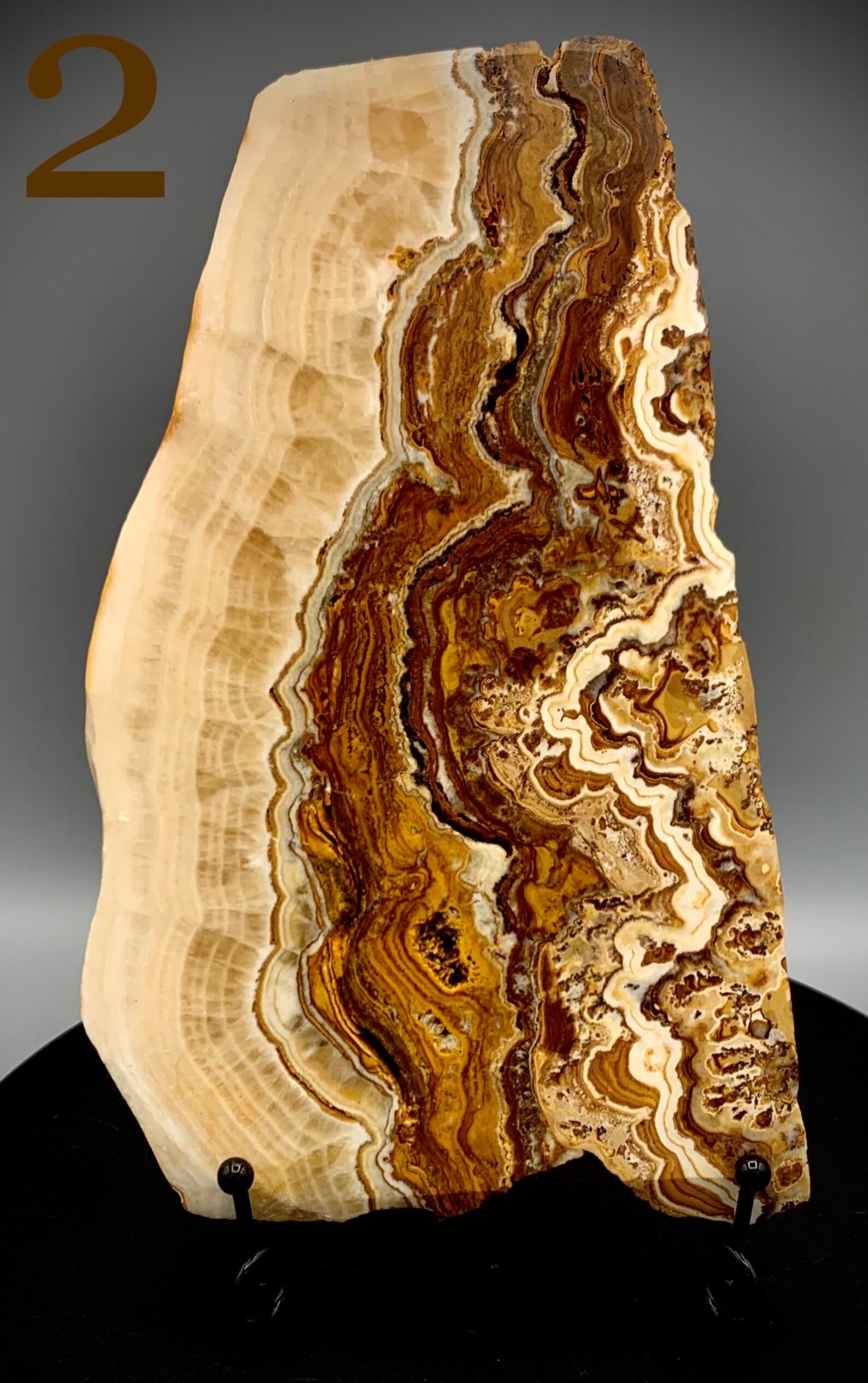 Dendritic Banded Calcite Slab With Raw Edge - Pick Your Favorite! - Etsy