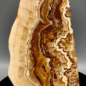 Dendritic Banded Calcite Slab With Raw Edge - Pick Your Favorite! - Etsy