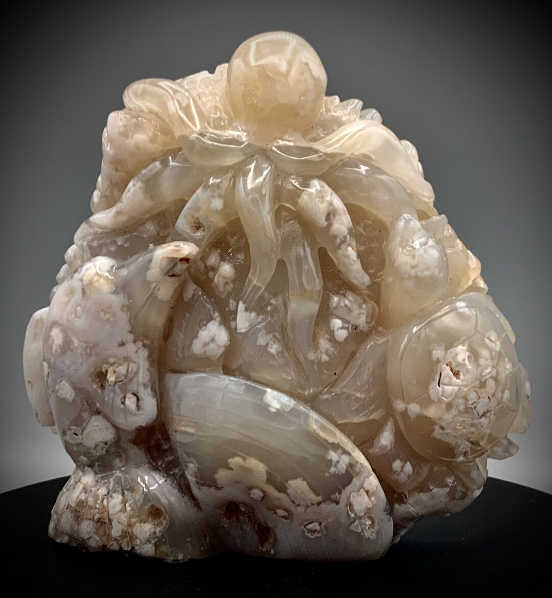 Octopus, Turtle and Dolphin, Oh My! Hand Carved - Flower Agate - Sakura ...