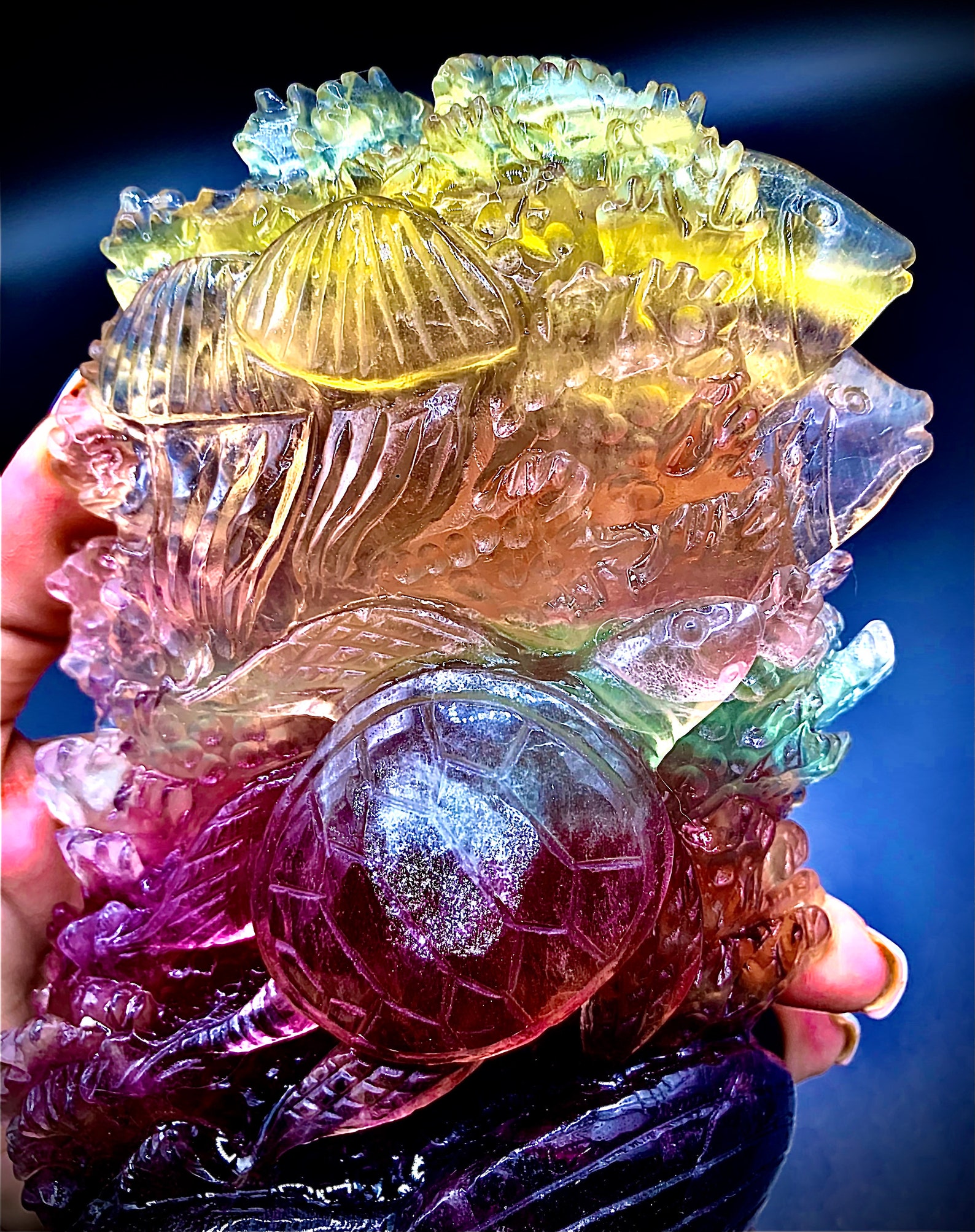 Rainbow Fluorite Hand Carving Marine Life 3.25 Lbs - Etsy