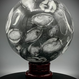 Jumbo Shell Jasper Sphere Thousand Eye High Quality Statement Piece 13.82 Lbs - Etsy