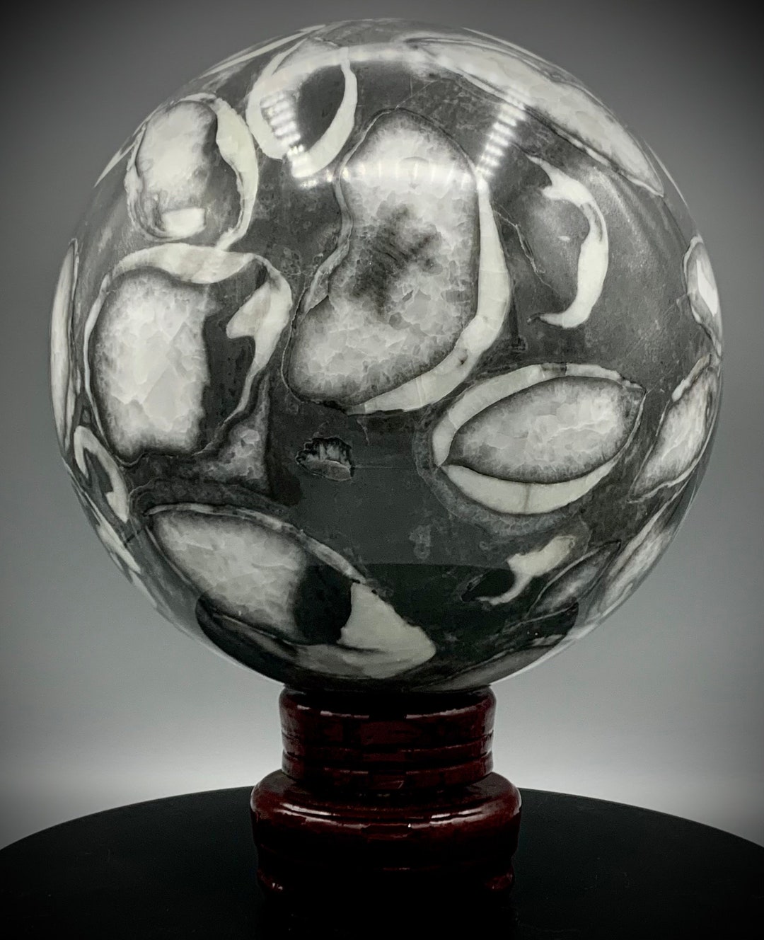 Jumbo Shell Jasper Sphere - Thousand Eye - High Quality - Statement ...