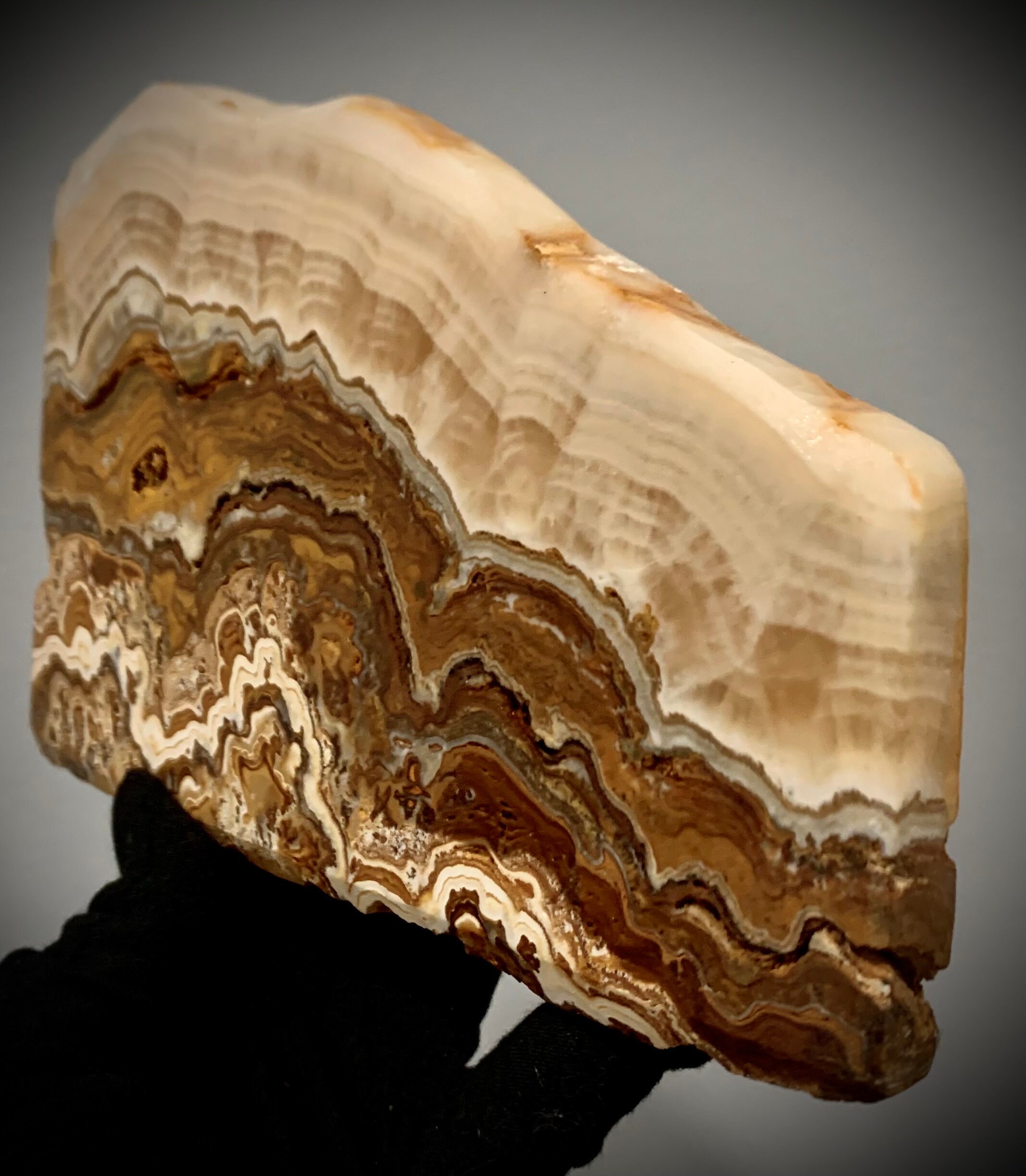 Dendritic Banded Calcite Slab With Raw Edge - Pick Your Favorite! - Etsy