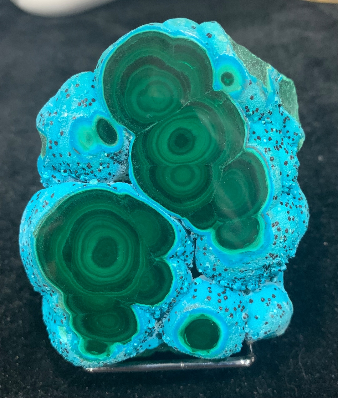 Botryoidal Chrysocolla and Malachite Cluster - High Quality - 1.11 Lbs ...