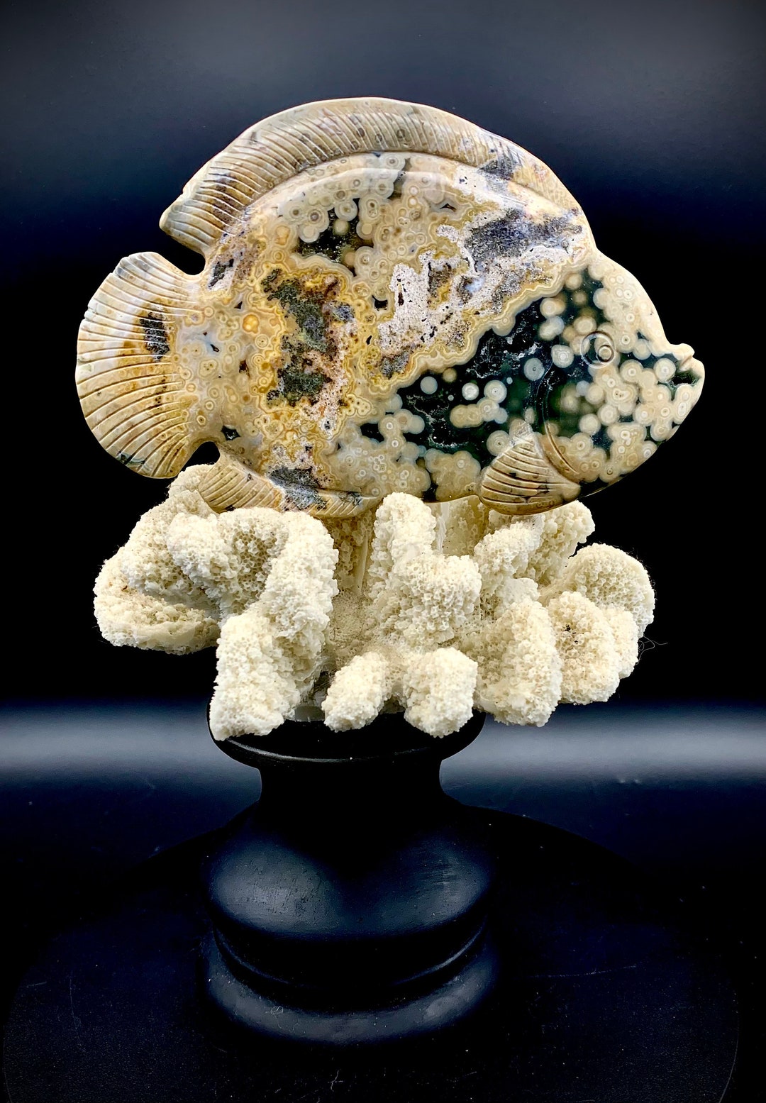 Druzy 8th Vein Ocean Jasper Fish - Orbicular Jasper - White Coral on ...
