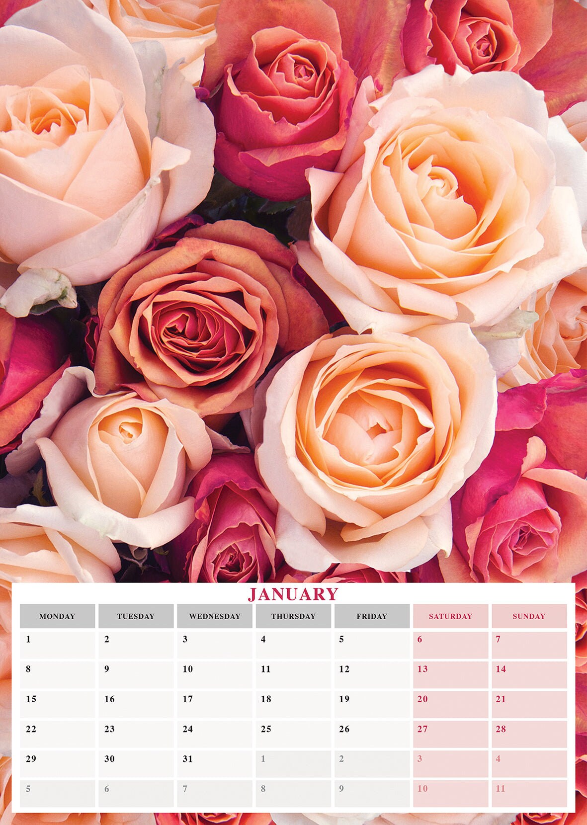 Roses Calendar 2024 sold by Aleda Handicapped | SKU 3736621 | Printerval UK