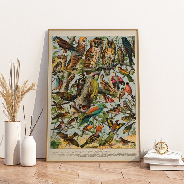 Bird Poster - Etsy