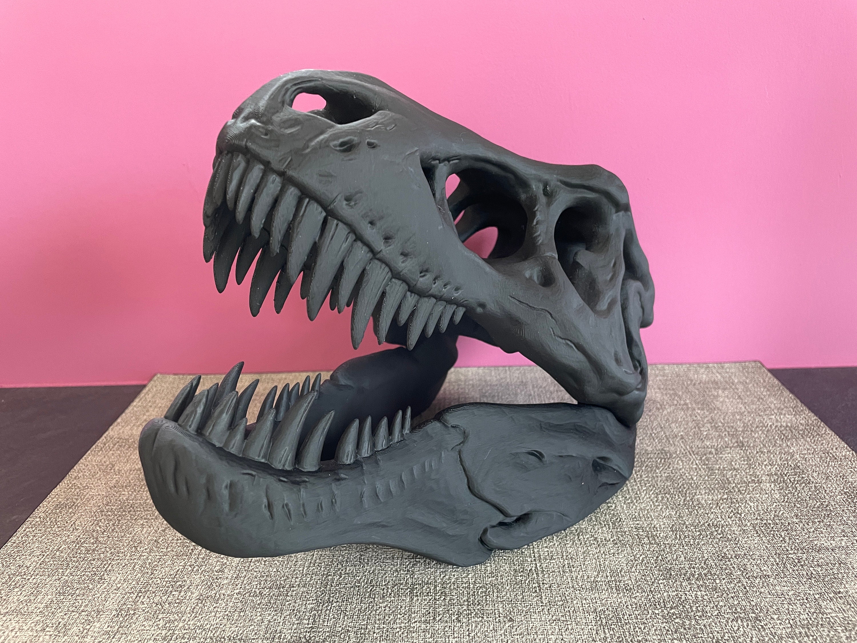 XXL Dinosaurs T-REX Jurassic Park Skull Skeleton Head Skulls Heads ...