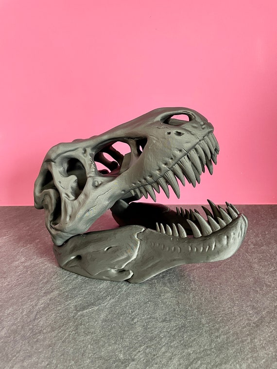 T Rex Skeleton Head