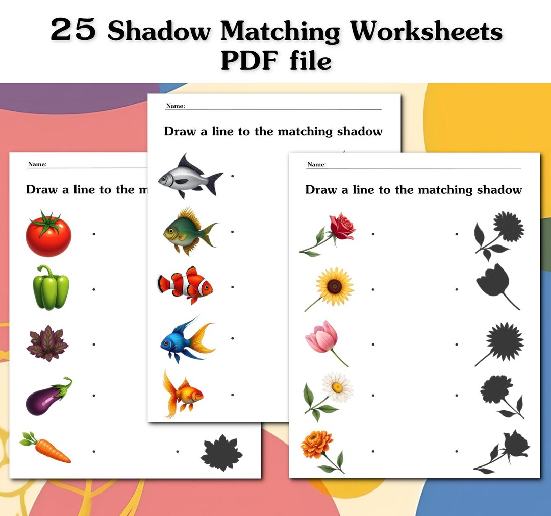 25 Shadow Matching Worksheets, Match the Picture, Printable Educational ...