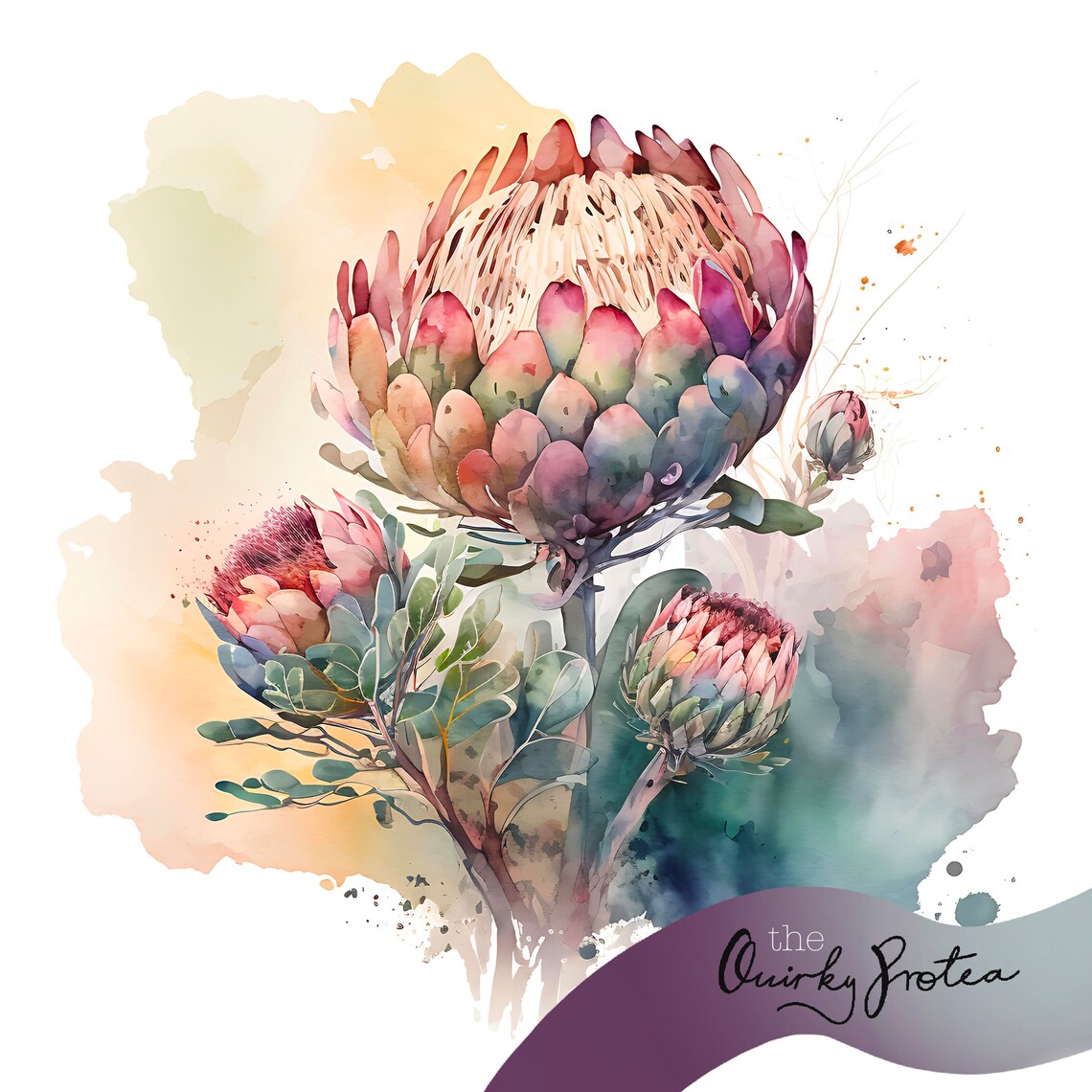 Protea Flower Watercolor Prints: Blush Pink Floral Wall Art (digital ...