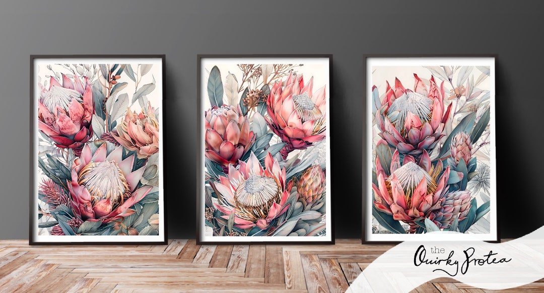Protea Flower Art Prints: Blush Pink Watercolor Set (digital Download ...
