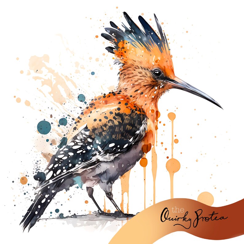 Set of 6 Hoopoe Birds Watercolour, Square, Digital Download, Clipart ...