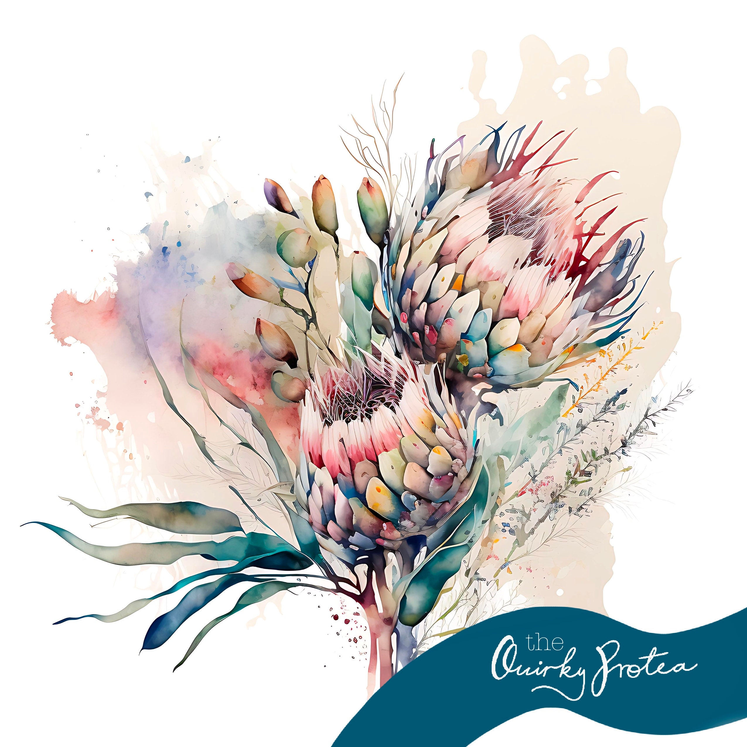 Set of 4 Protea Watercolour, Digital Download, Blush Pink and Green ...