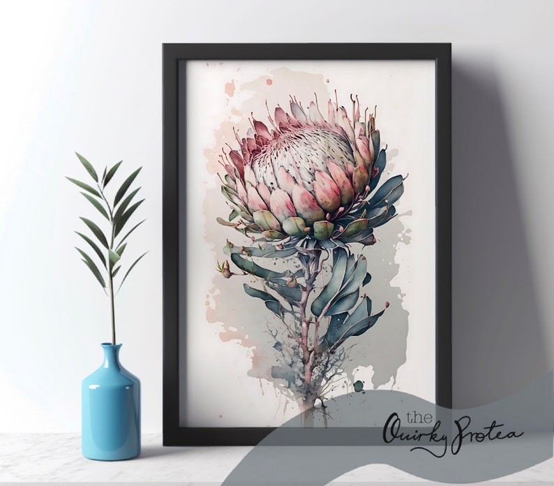King Proteas, Clipart, Blush Pink Print, Protea Flower, Digital Prints, Floral Art, AI, South ...