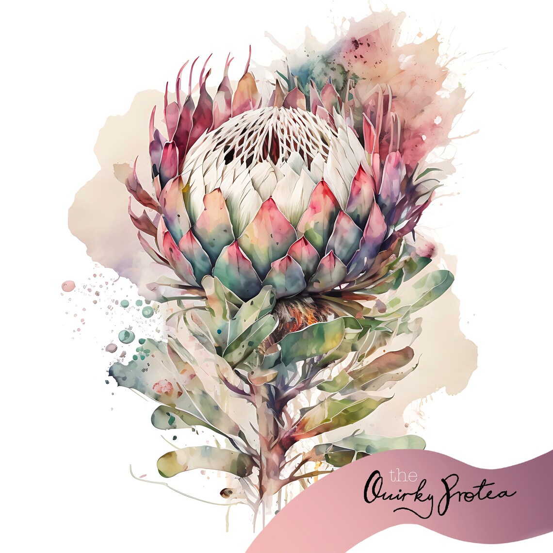Set of 4 Protea Watercolour Digital Download Blush Pink and - Etsy