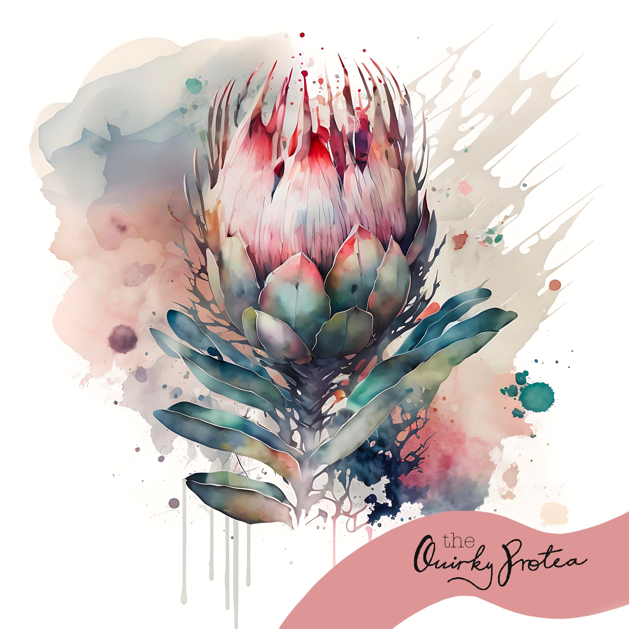 Set of 4 Protea Watercolour, Digital Download, Blush Pink and Green ...