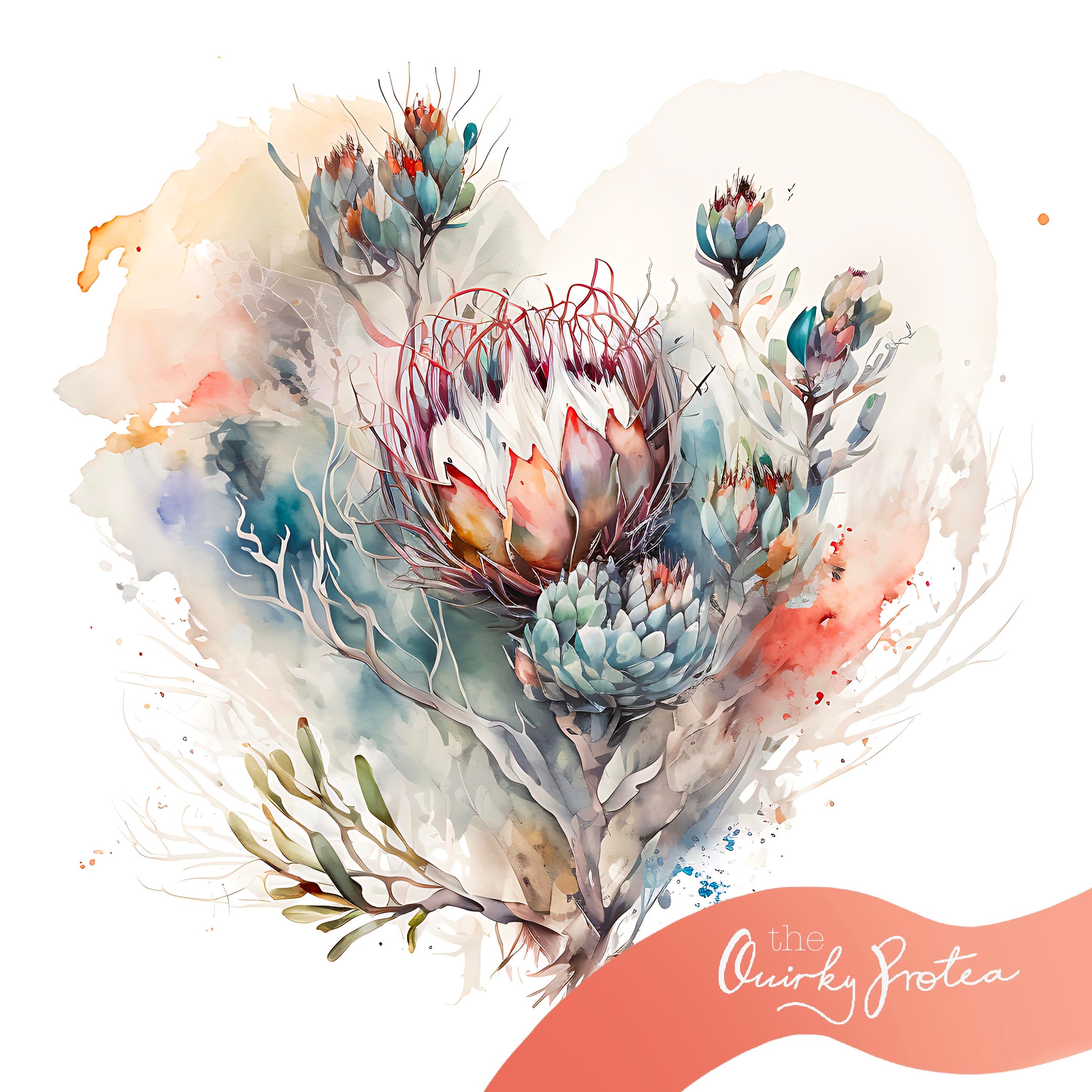 Set of 4 Protea Watercolour Digital Art Blush Pink Protea - Etsy