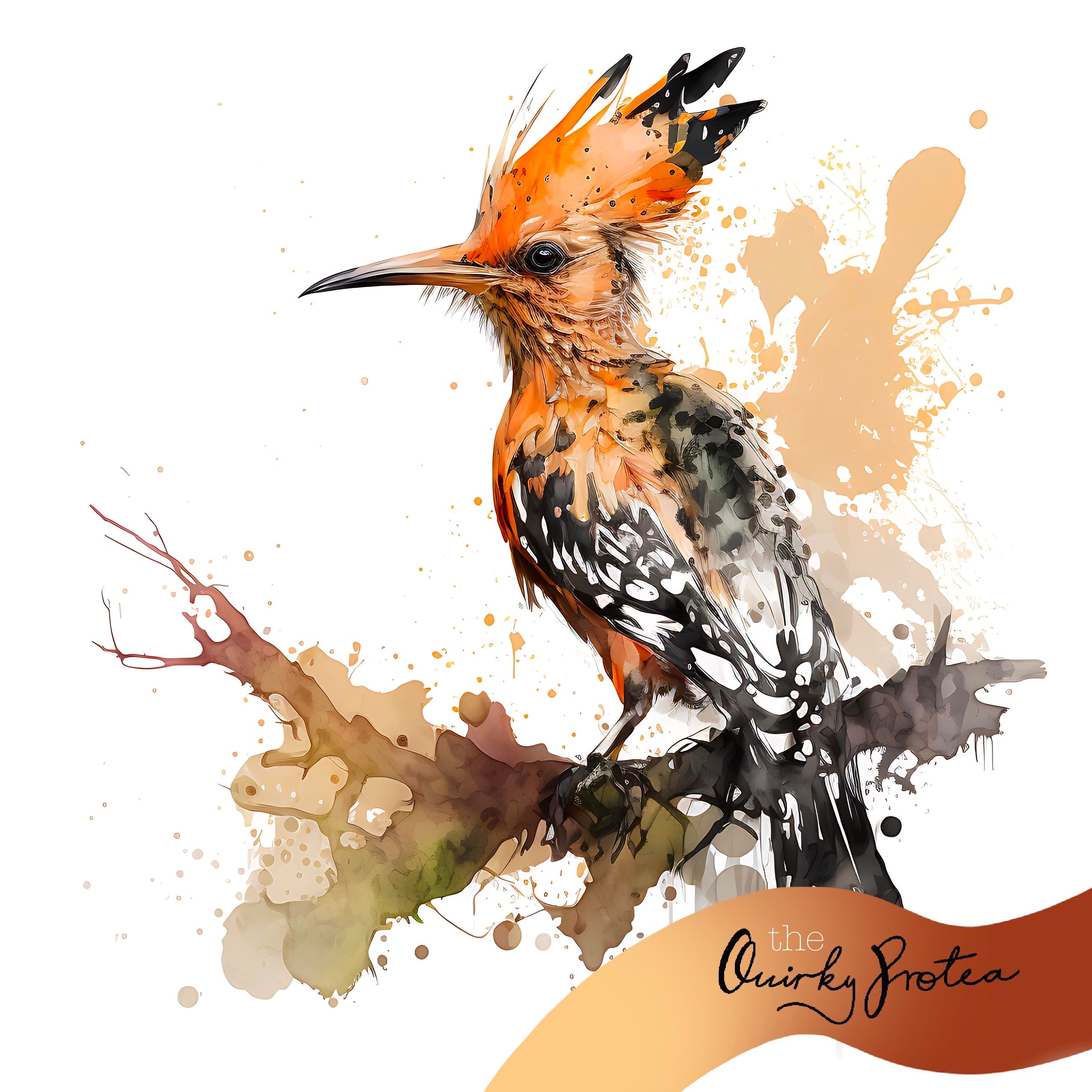 Set of 6 Hoopoe Birds Watercolour, Square, Digital Download, Clipart ...