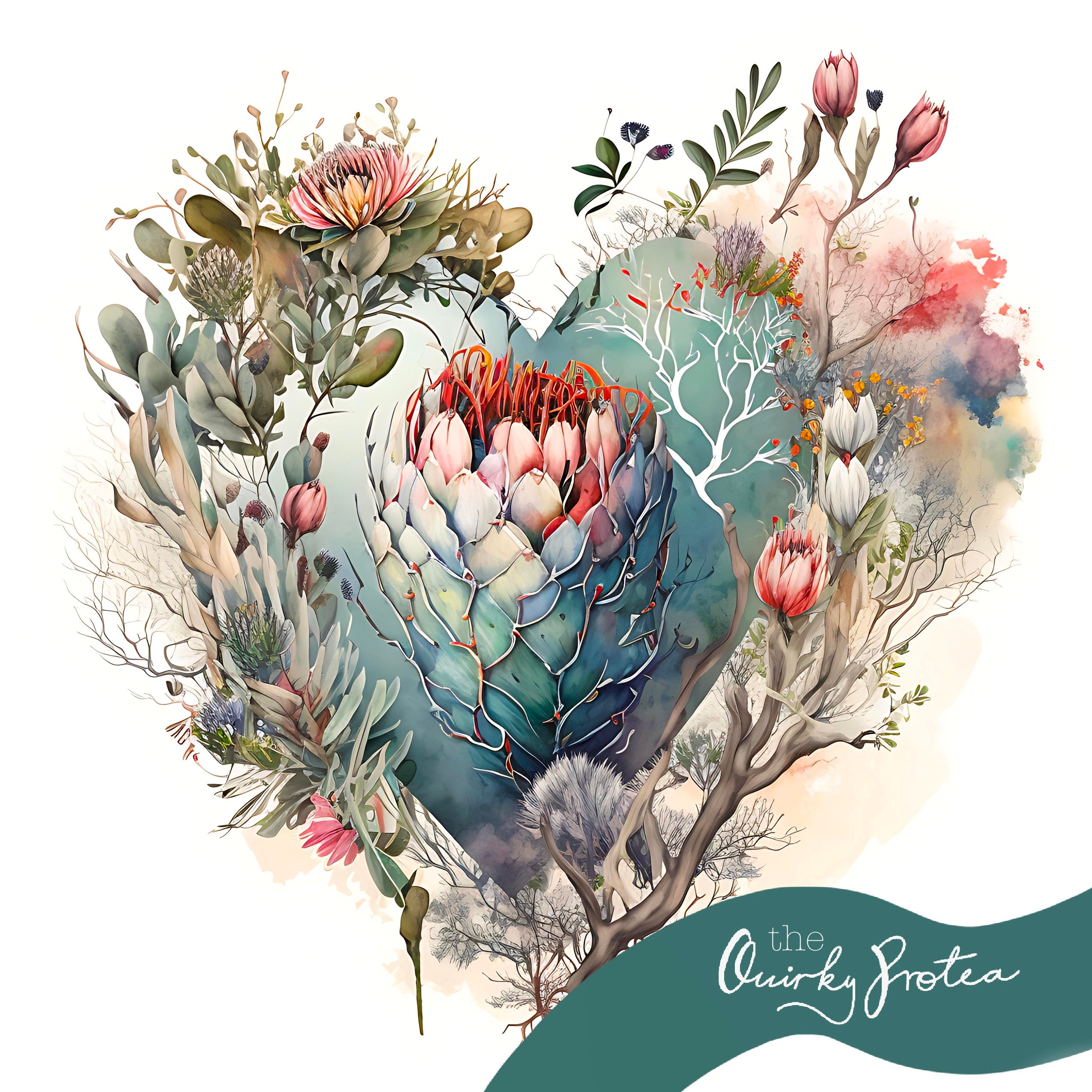 Set of 4 Protea Watercolour Digital Art Blush Pink Protea - Etsy