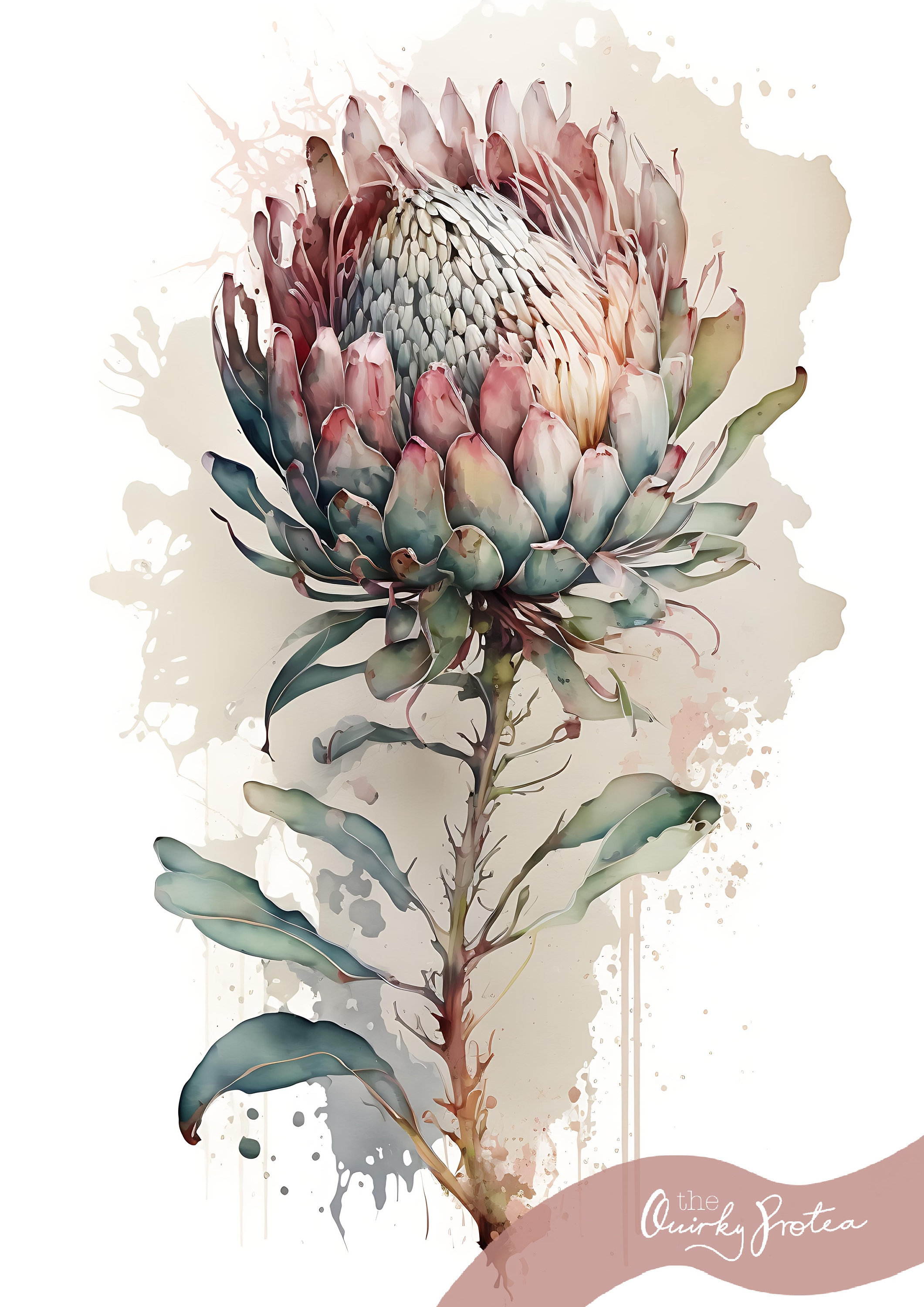 Set of 3 Protea Prints, Watercolour, Digital, Blush Pink Print, Protea ...