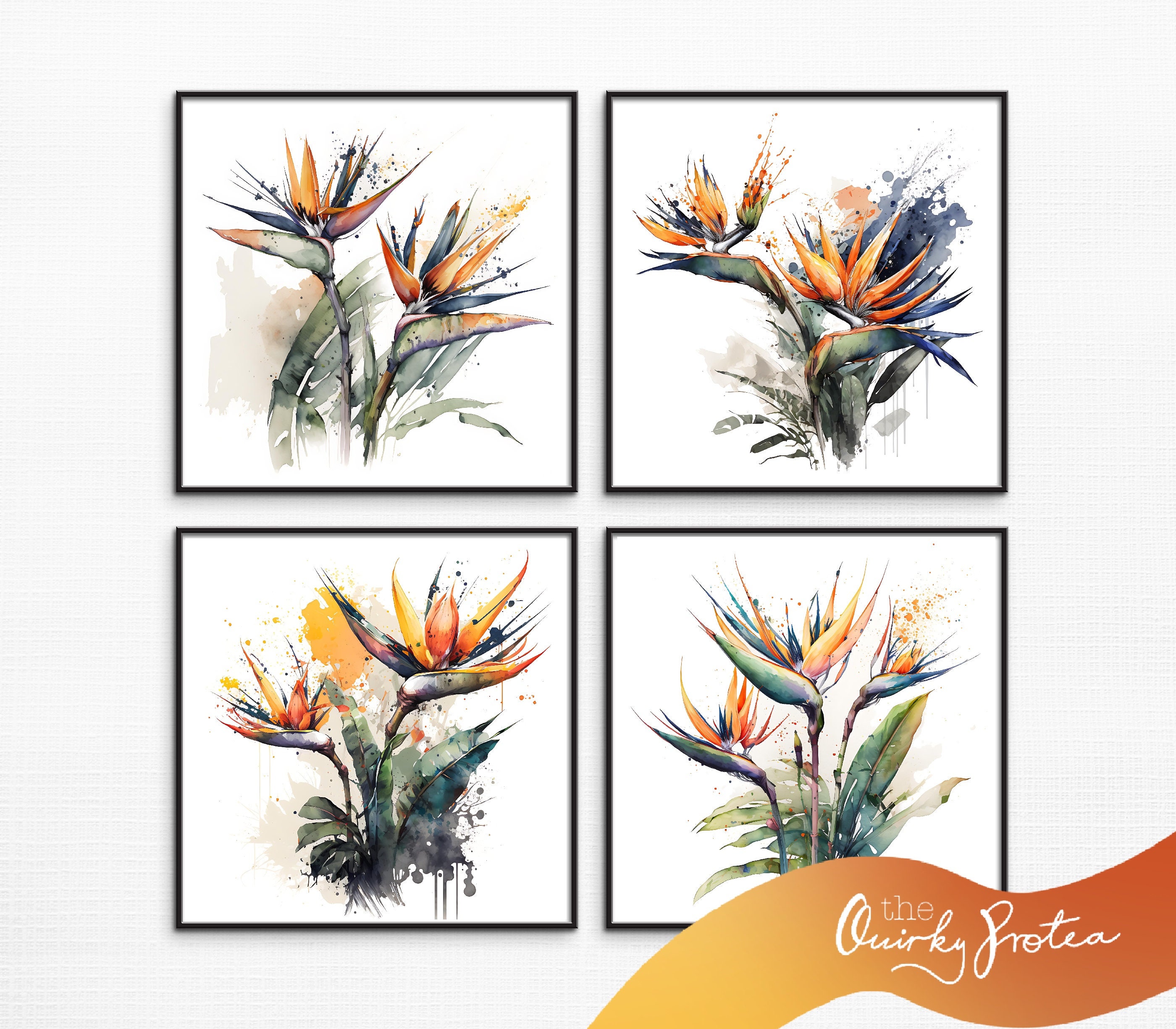 Strelitzia Watercolor Print Set: South African Flower Art (digital ...