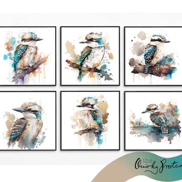 Kookaburra - Etsy