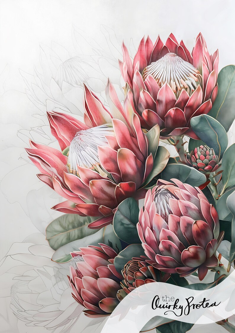 Protea Watercolor Print Set: Blush Pink African Flower Art (digital ...