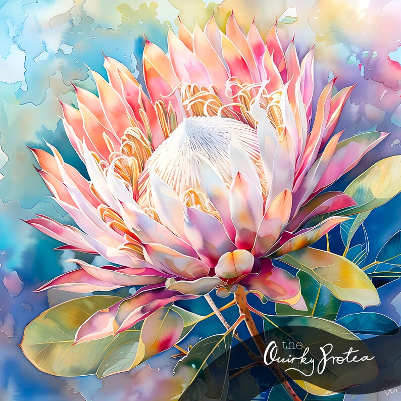 Protea Watercolor Art Prints: South African Floral Set (digital ...