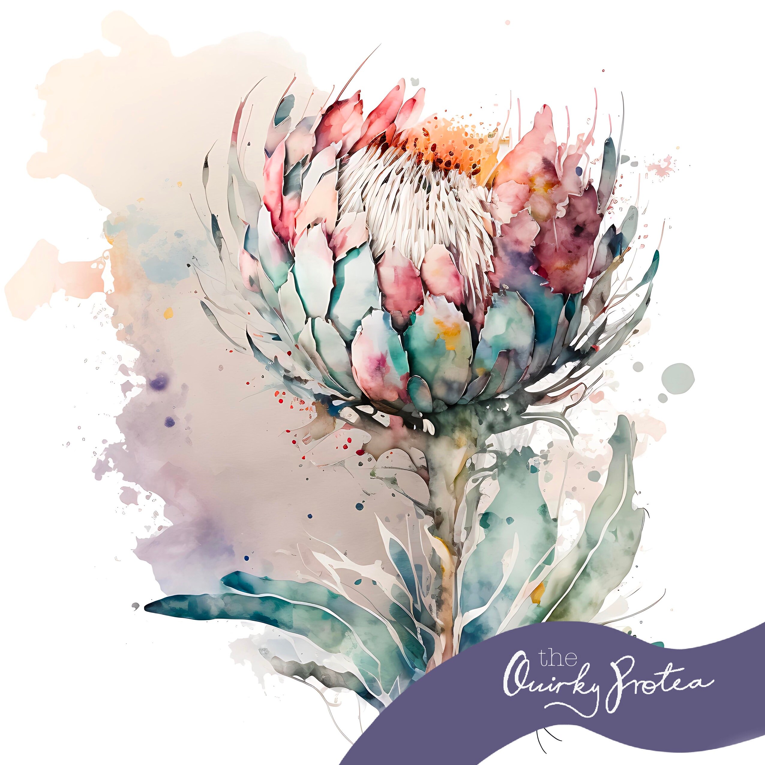 Set of 4 Protea Watercolour, Digital Download, Blush Pink and Green ...