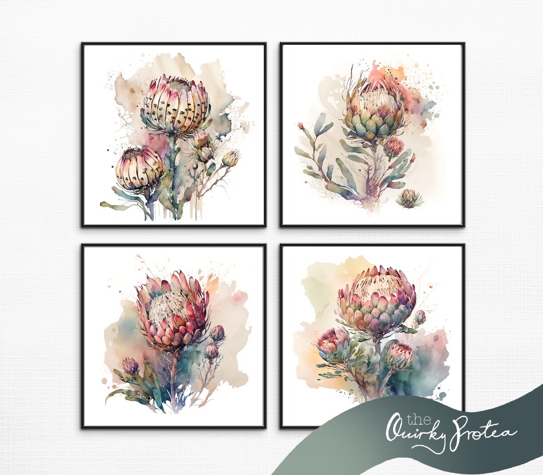 Set of 4 Protea Watercolour, Digital Download, Blush Pink Print, Protea ...