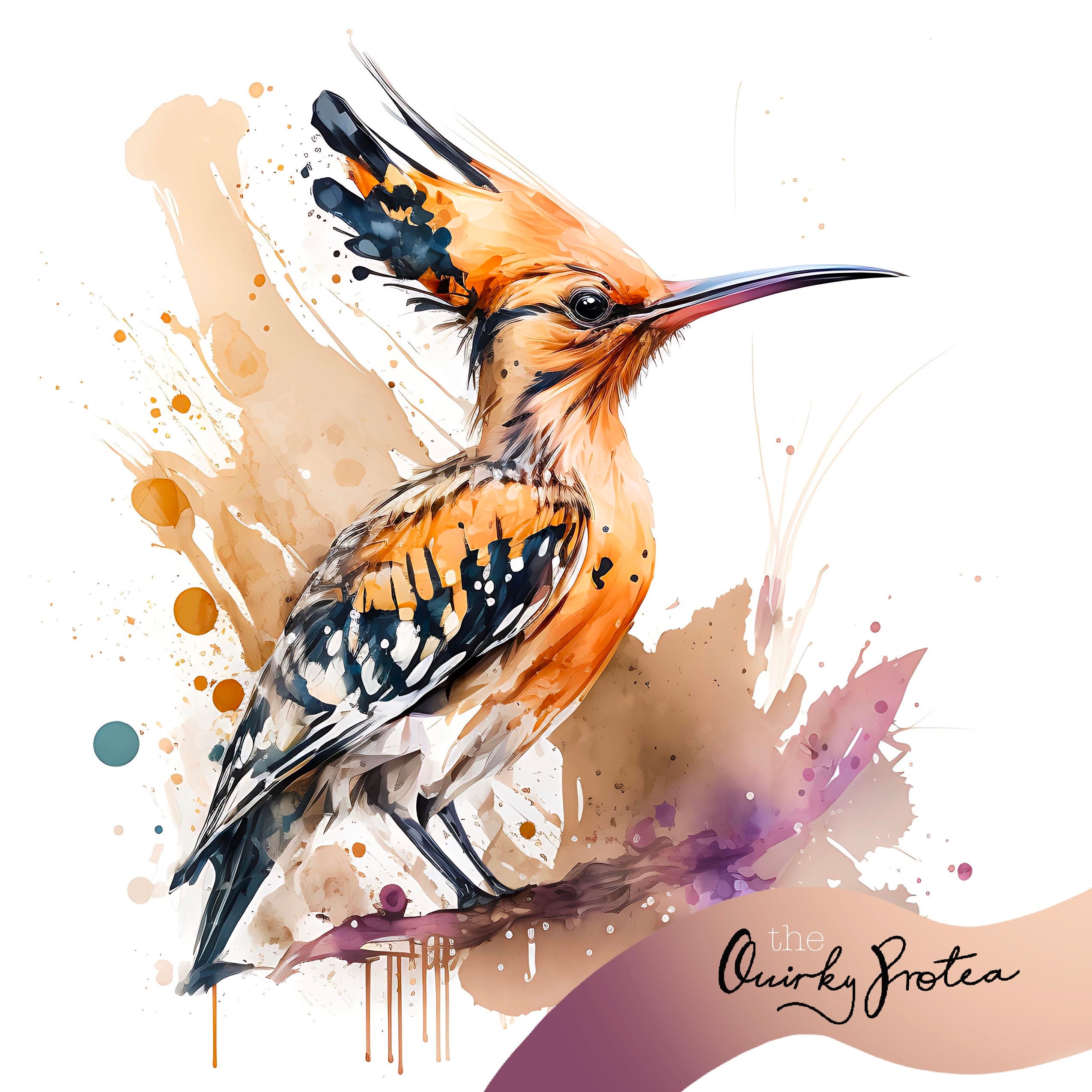 Set of 6 Hoopoe Birds Watercolour, Square, Digital Download, Clipart ...