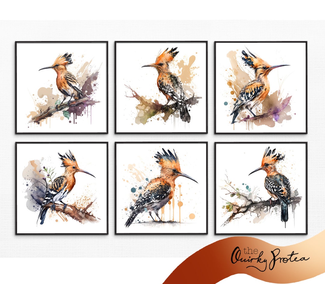 Set of 6 Hoopoe Birds Watercolour, Square, Digital Download, Clipart ...