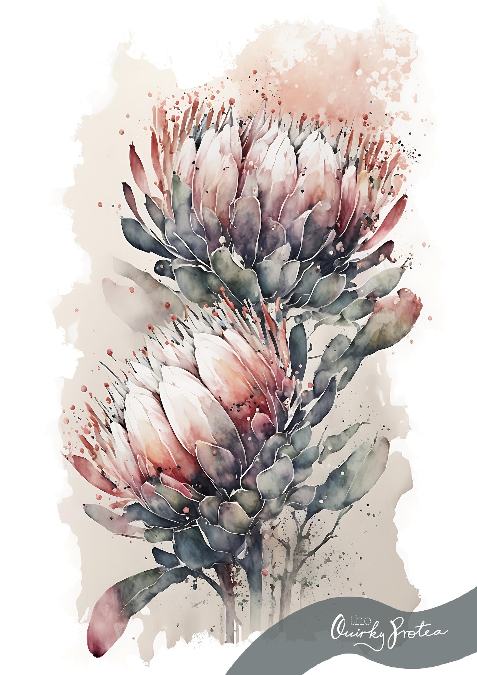King Proteas, Clipart, Blush Pink Print, Protea Flower, Digital Prints ...