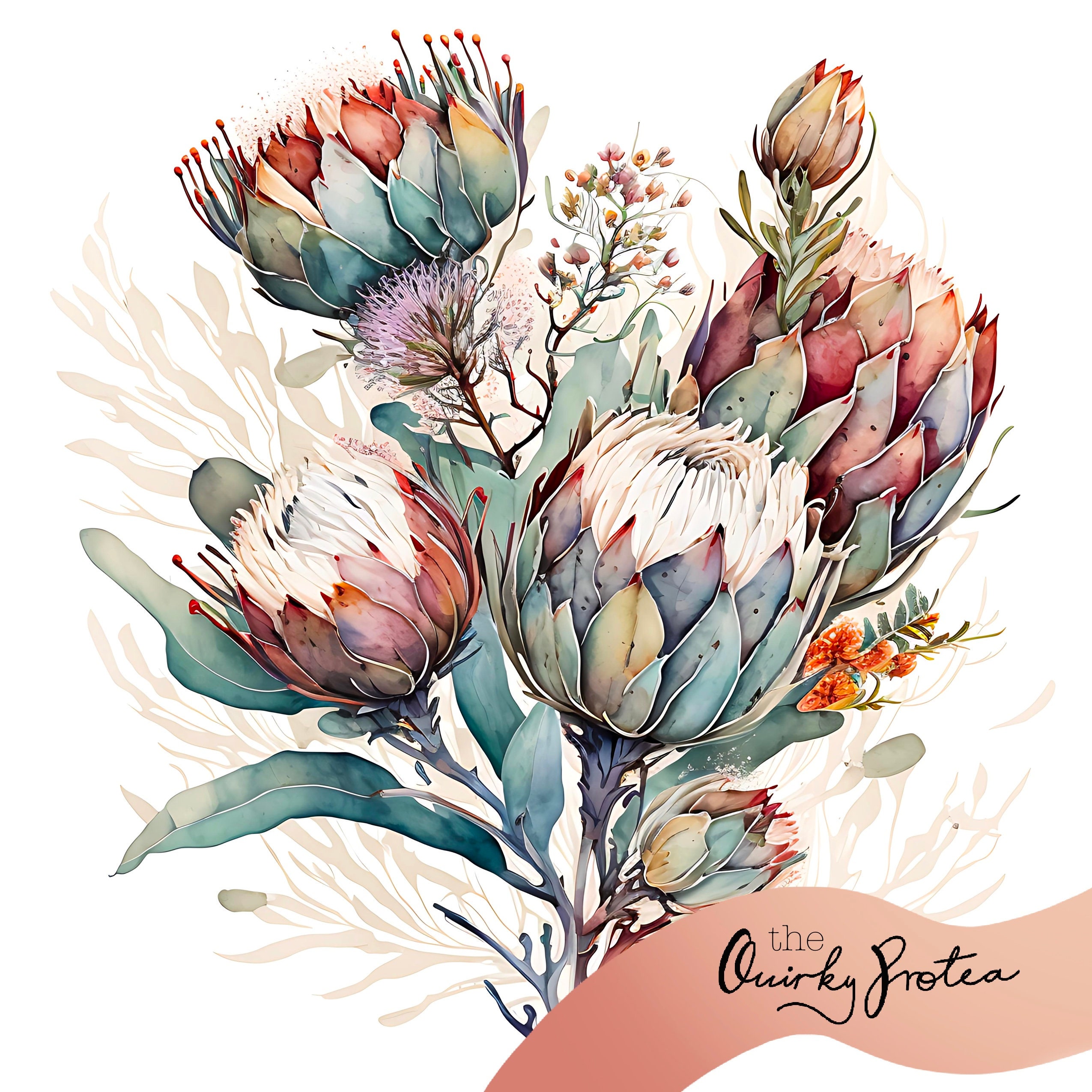 Vintage Protea Watercolour, Set of 6, Square, Digital Download, Wall ...