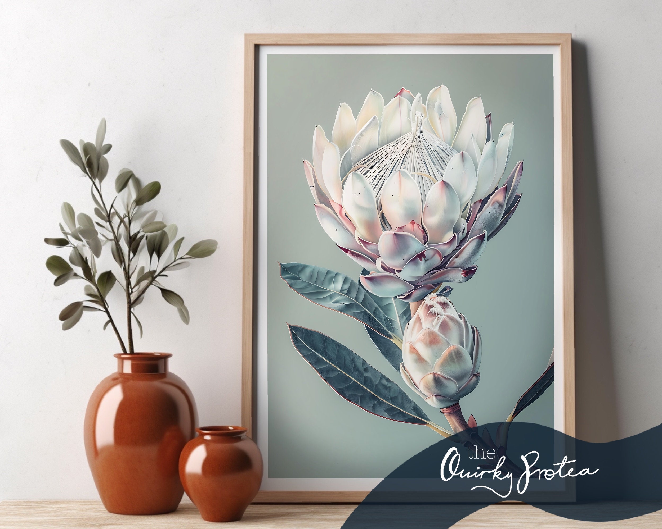 Set of 3 Protea Prints, Illustration, Clipart, Digital, Protea Print, Digital Prints, Floral Art ...
